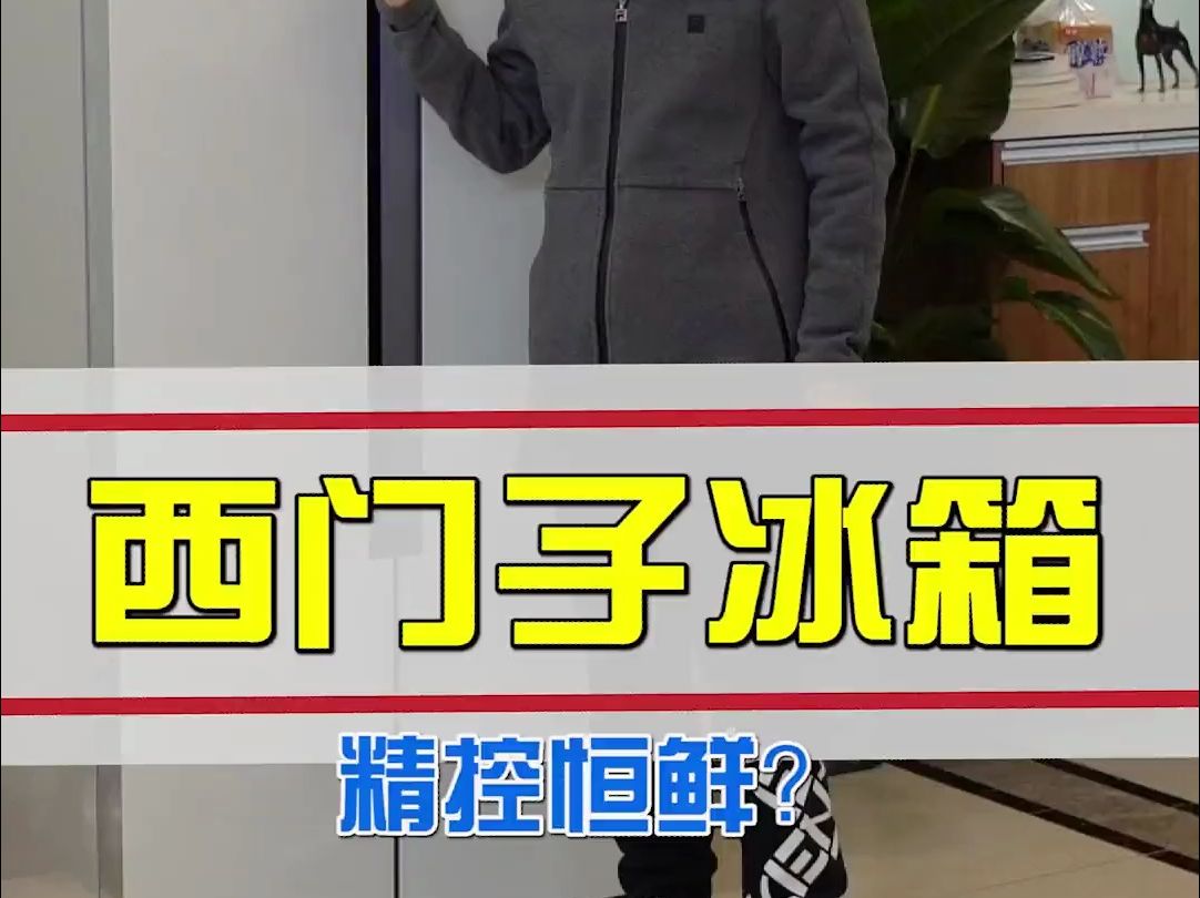 西门子冰箱真的是越搞越…