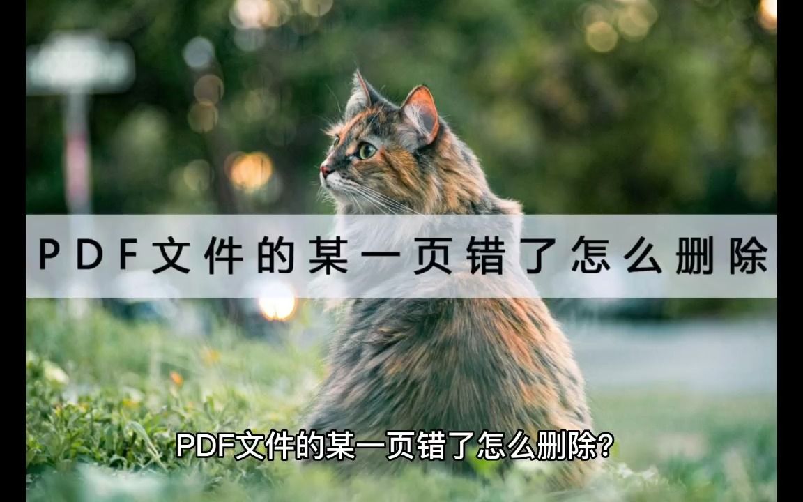 PDF文件的某一页错了怎么删除?用它想怎么删就怎么删