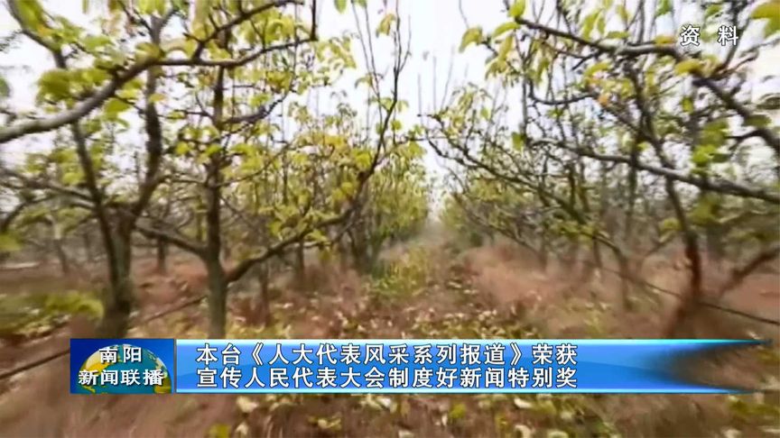 南阳台人大代表风采系列报道获宣传人民代表大会制度好新闻特别奖