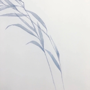永夜望初昕 