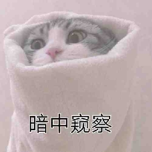 年轻的蘑菇呀 