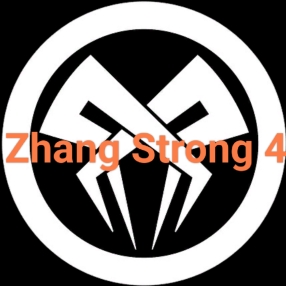 Zhang-Strong会玩的 