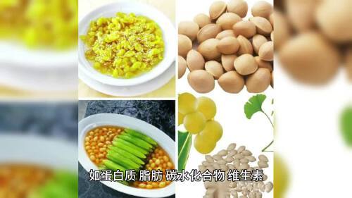 1686.白果的作用