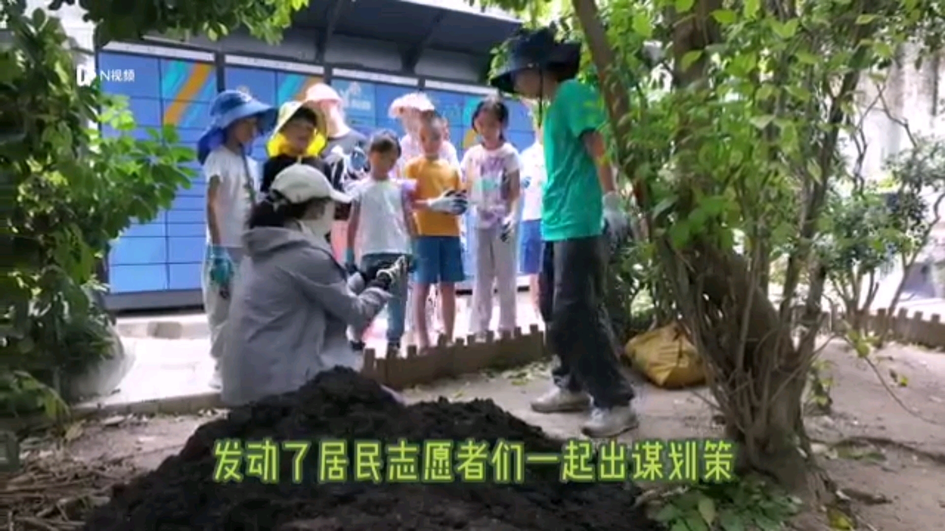 打造共享花园,扮靓社区环境,绿美化园,社区共建