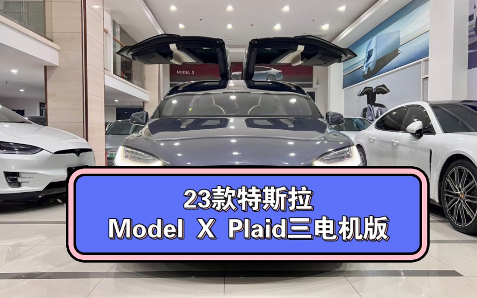 23款特斯拉Model X Plaid选配冷光银车漆米色碳纤维内饰22寸大轮毂...