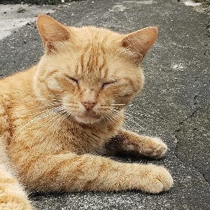 兄弟你视频好好看 