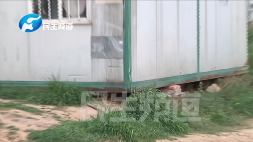 “恶犬”咬人背后隐情让人泪目:流浪狗妈妈拼全力护崽