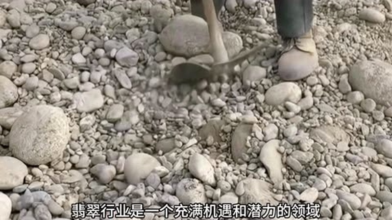 小伙挖一块翡翠玉石价值千万(下集)