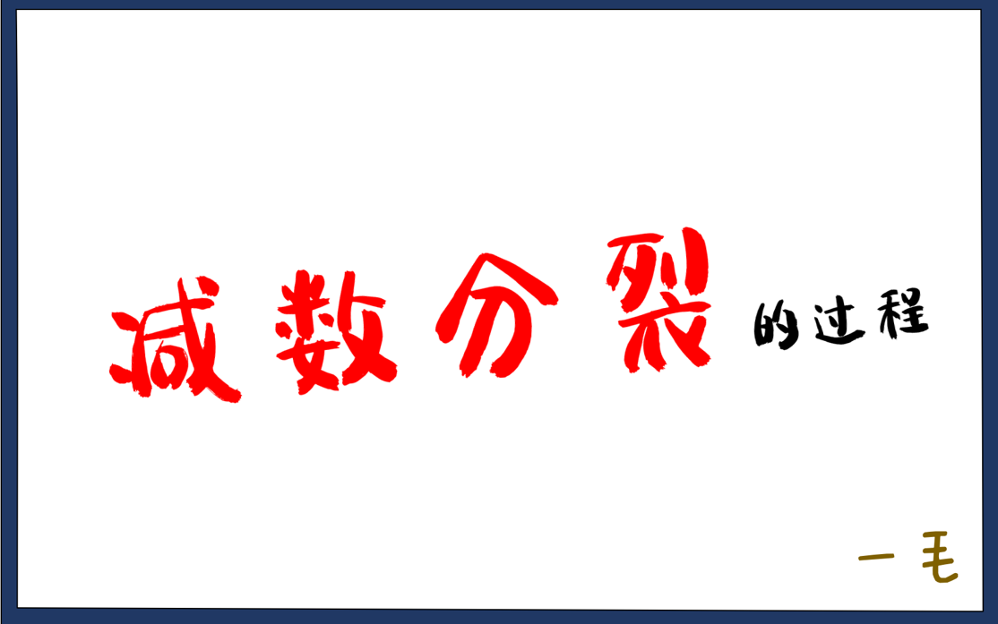 减数分裂的过程【高中生物必修二】