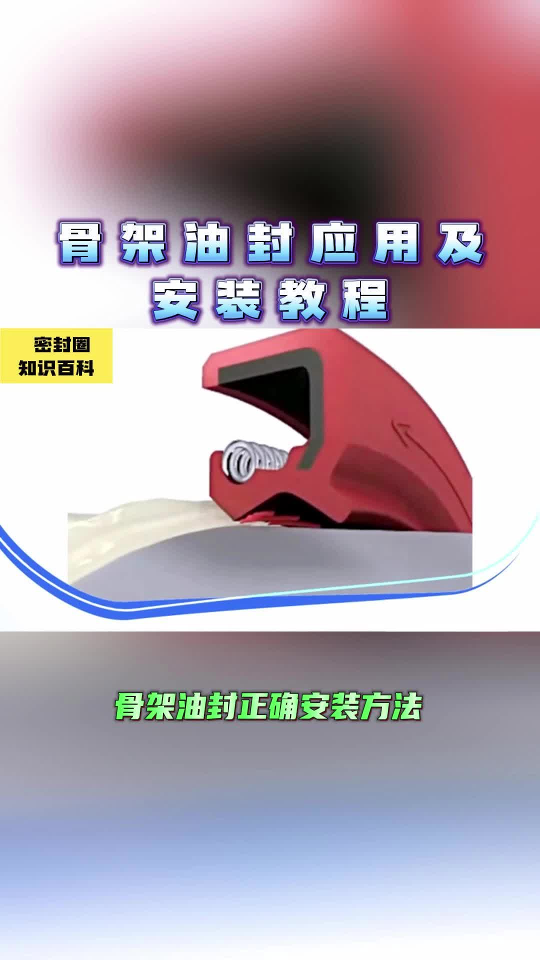 骨架油封应用及安装教程