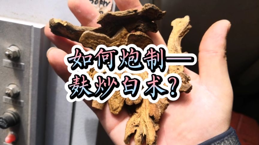 中药炮制—麸炒白术,为什么用蜂蜜?带你了解饮片厂是怎么炮制的