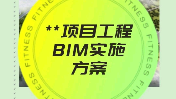*项目工程BIM实施方案