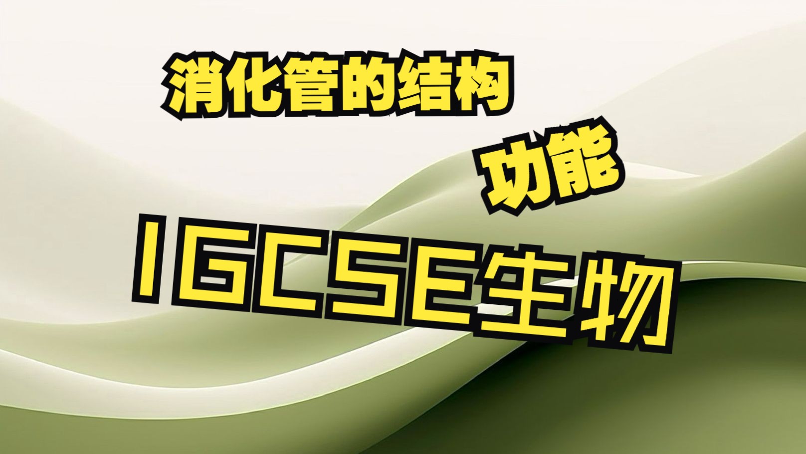 【IGCSE生物】消化管的结构和功能.(下)| universe beyond |