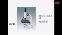 显微镜的操作使用教学