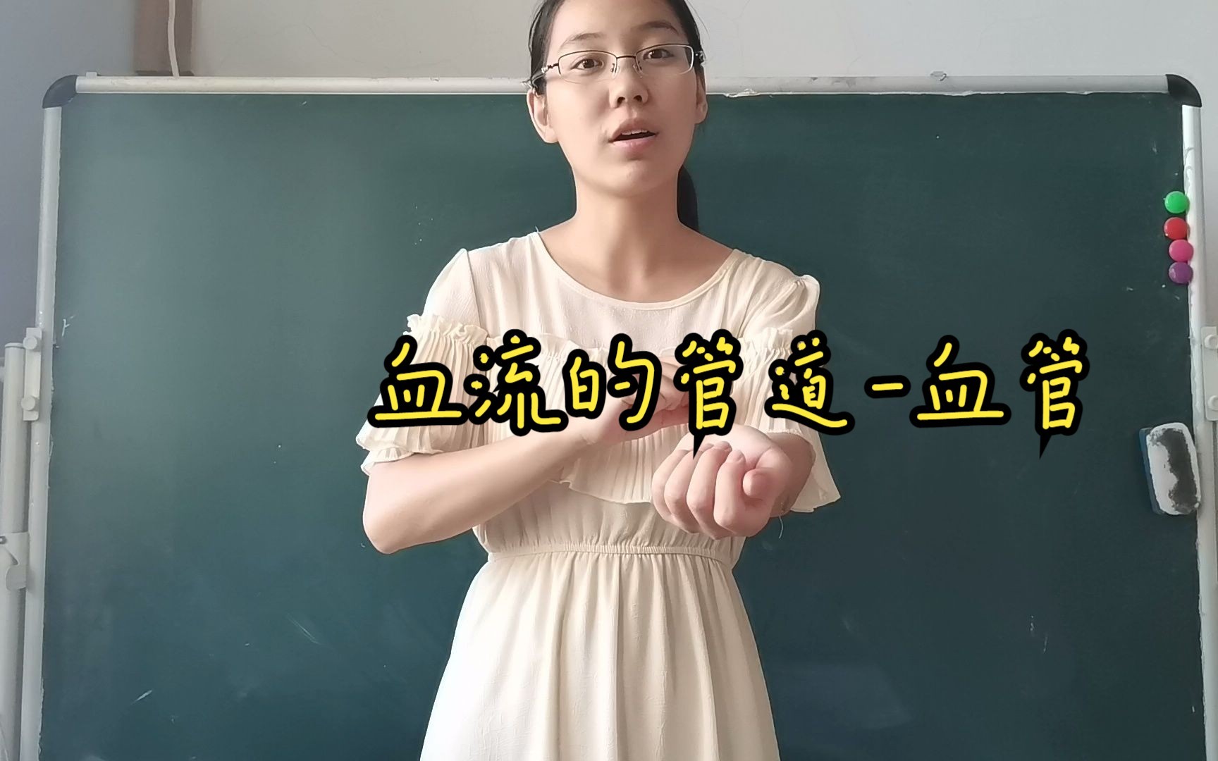 人教版初中生物《血流的管道-血管》