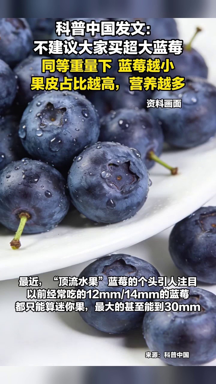 科普中国发文:不建议大家买超大蓝莓,果皮占比越高,营养越多