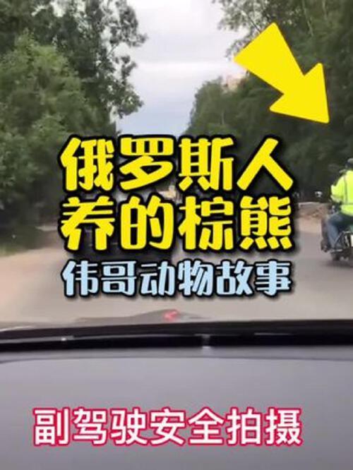 看看俄罗斯人家的宠物-棕熊