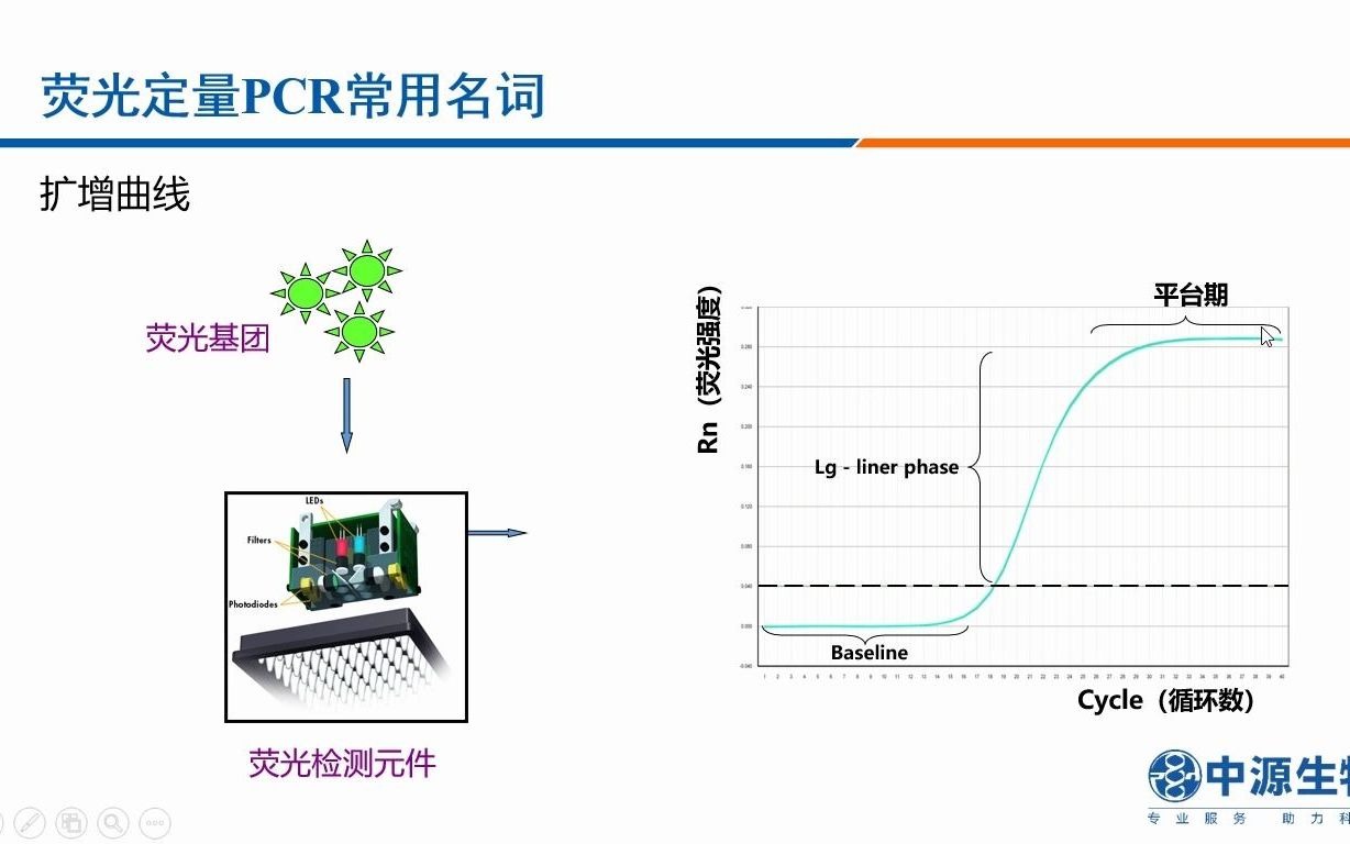 荧光定量PCR技术及相关产品介绍