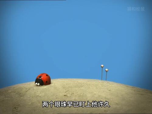 瓢虫走了桃花运,被一只蜗牛追求动画 动画解说 猎奇 昆虫 脑洞大开
