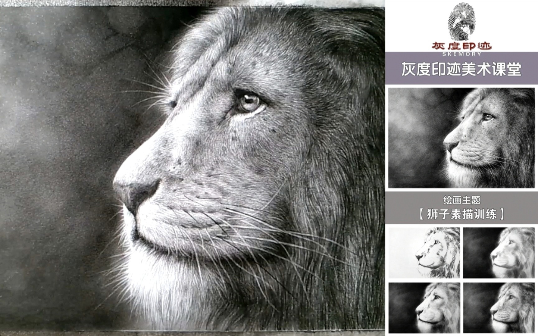 素描动物—高傲的狮子