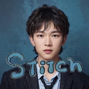Stitch史迪祁 