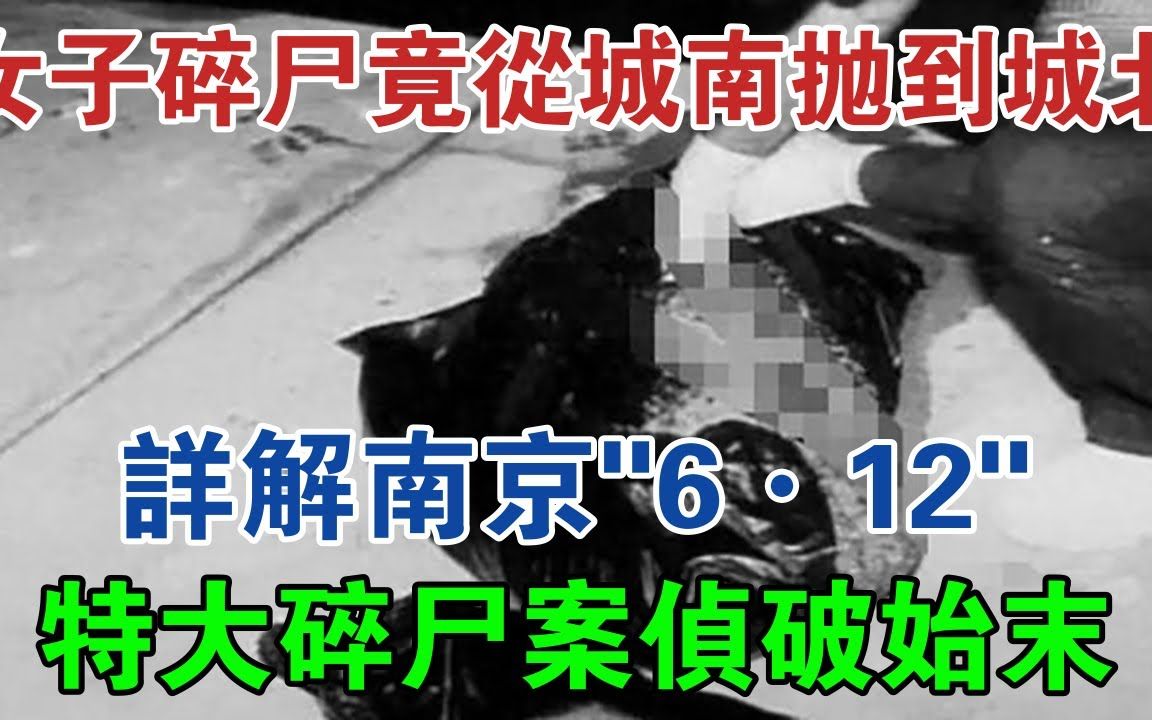 ...南京“6·12”特大碎尸案侦破始末 #大案纪实 #刑事案件 #案件解说