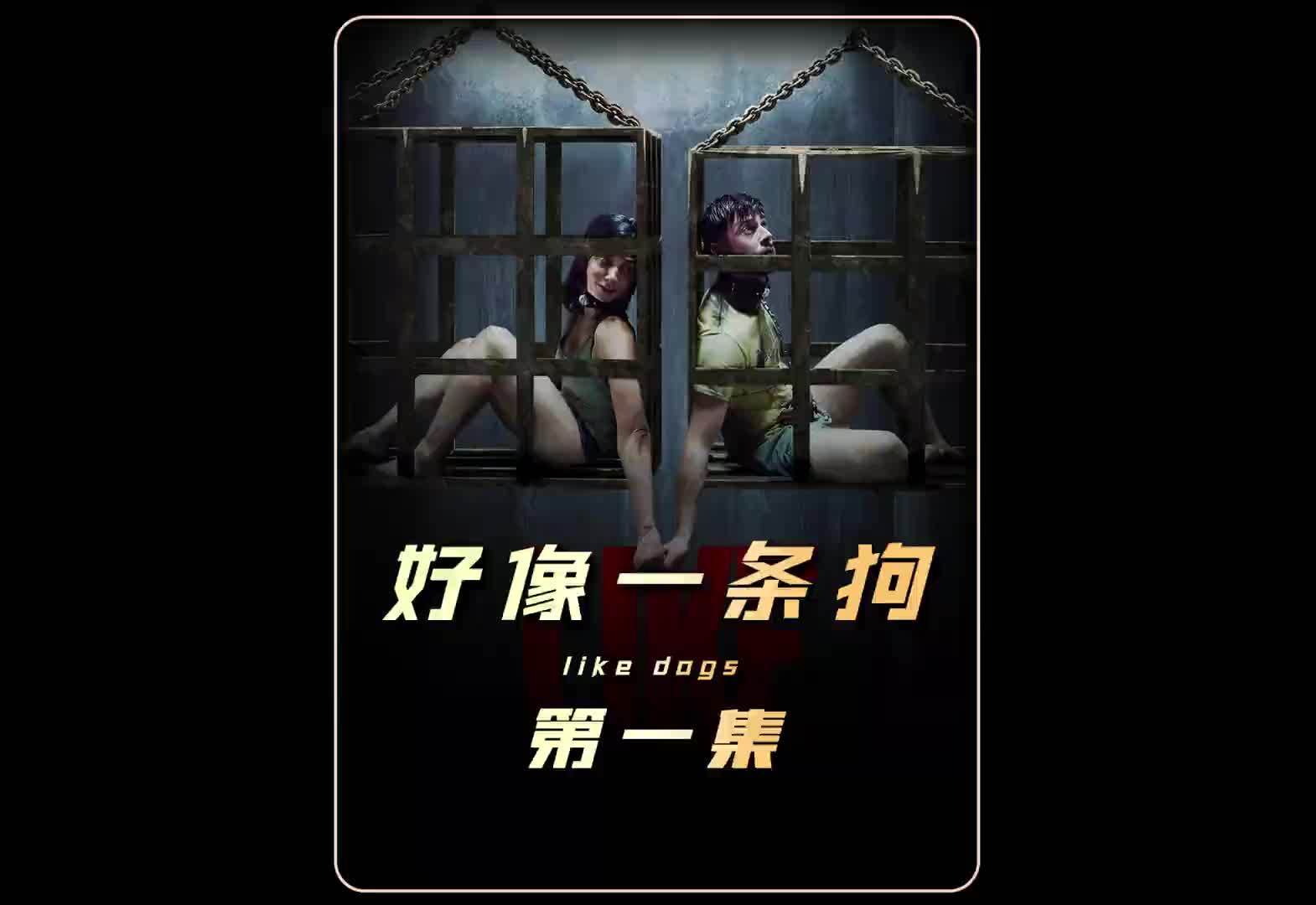 女人一个不小心,被别人囚禁在了厕所 #影视解说 #好像一条狗