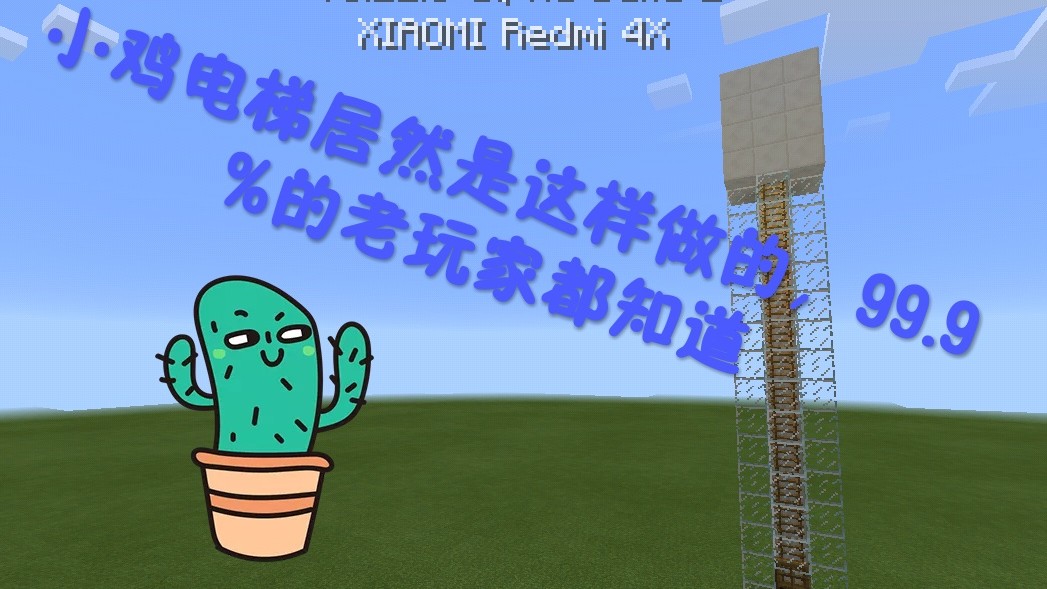 【我的世界】99.9%的老玩家都知道的小鸡电梯
