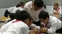 研究材料的特征 陈微刚(浙江省小学科学优质课案例)教学实录 课堂...