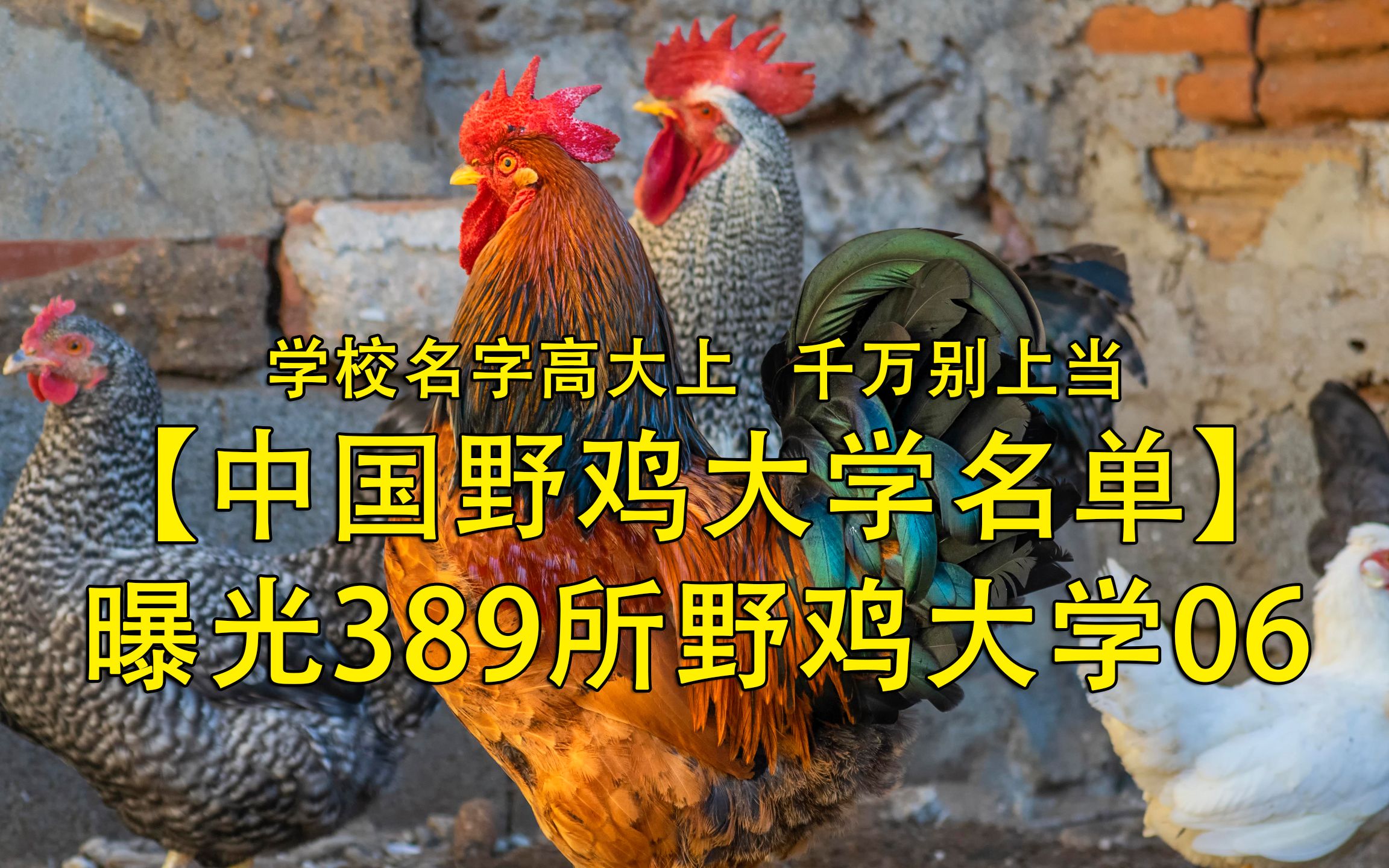 ...中国邮电大学?中国师范学院?华北科技大学?首都医学院?中国信息...
