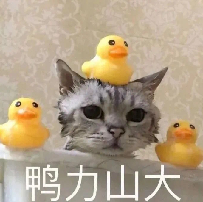 一斤的日常 