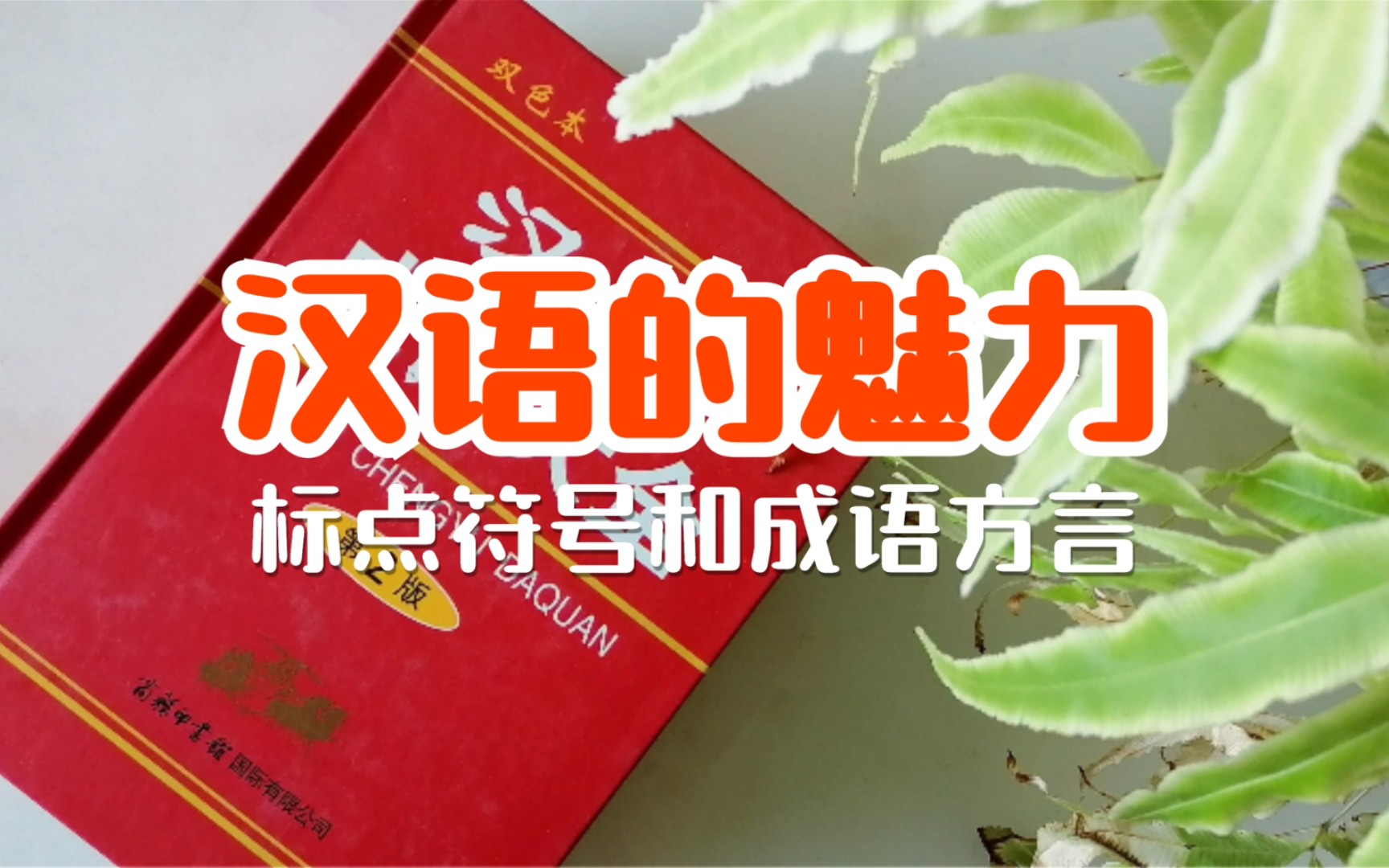 云南 | 如何学习汉语成语大全,标点符号的使用,汉字与方言的魅力