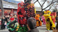 陕北榆林大街!舞狮,舞龙!2024正月!