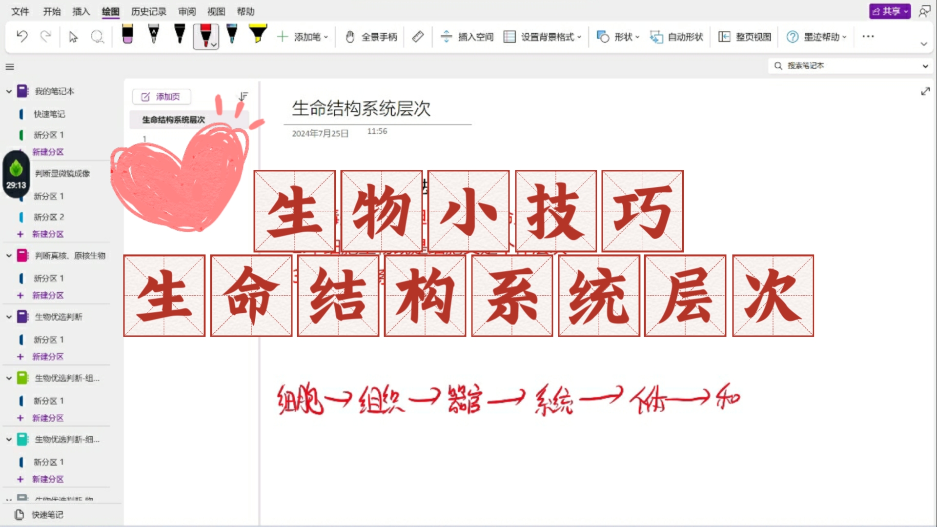 生物小考点:生命结构系统层次