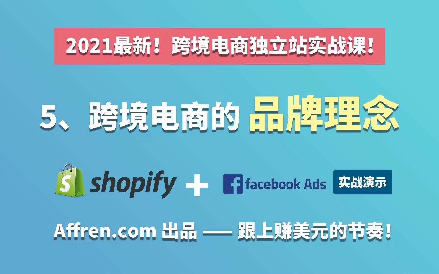 5、品牌营销案例举例-跨境电商实战课 shopify 建站SEO 和 Facebook ...