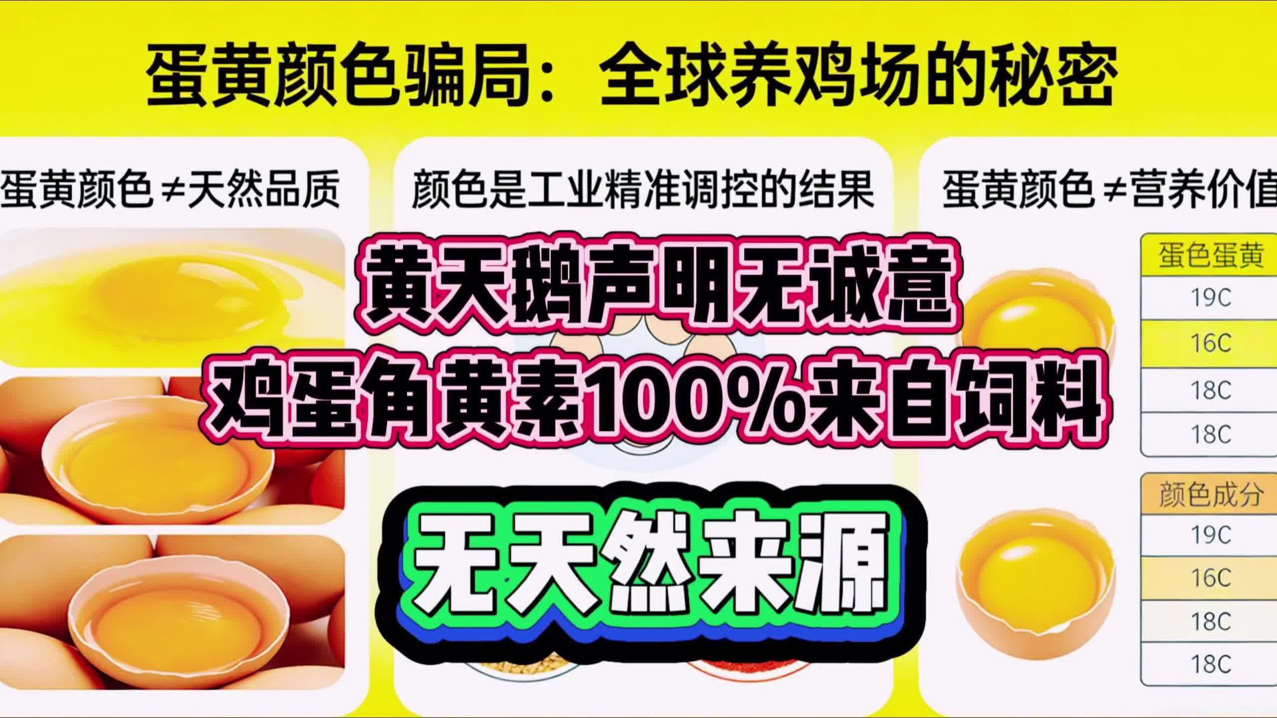 黄天鹅声明缺乏诚信,鸡蛋角黄素100%来自饲料,无天然来源 黄天鹅...
