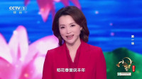 [中国诗词大会]董卿教科书式的开场诗必有一款适合你