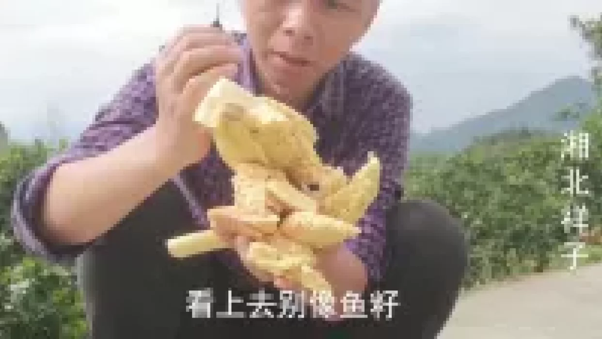 棕树花也能吃?还是头一次听说,农村大哥决定尝鲜
