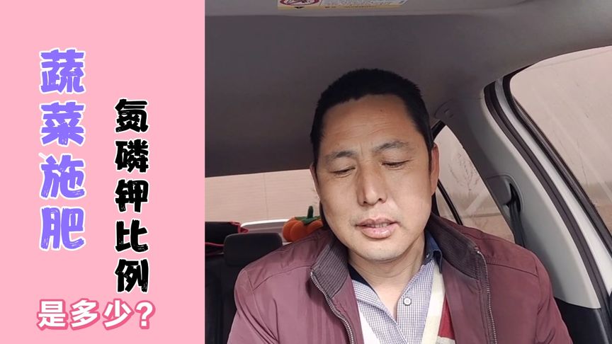 蔬菜施肥氮磷钾比例是多少?