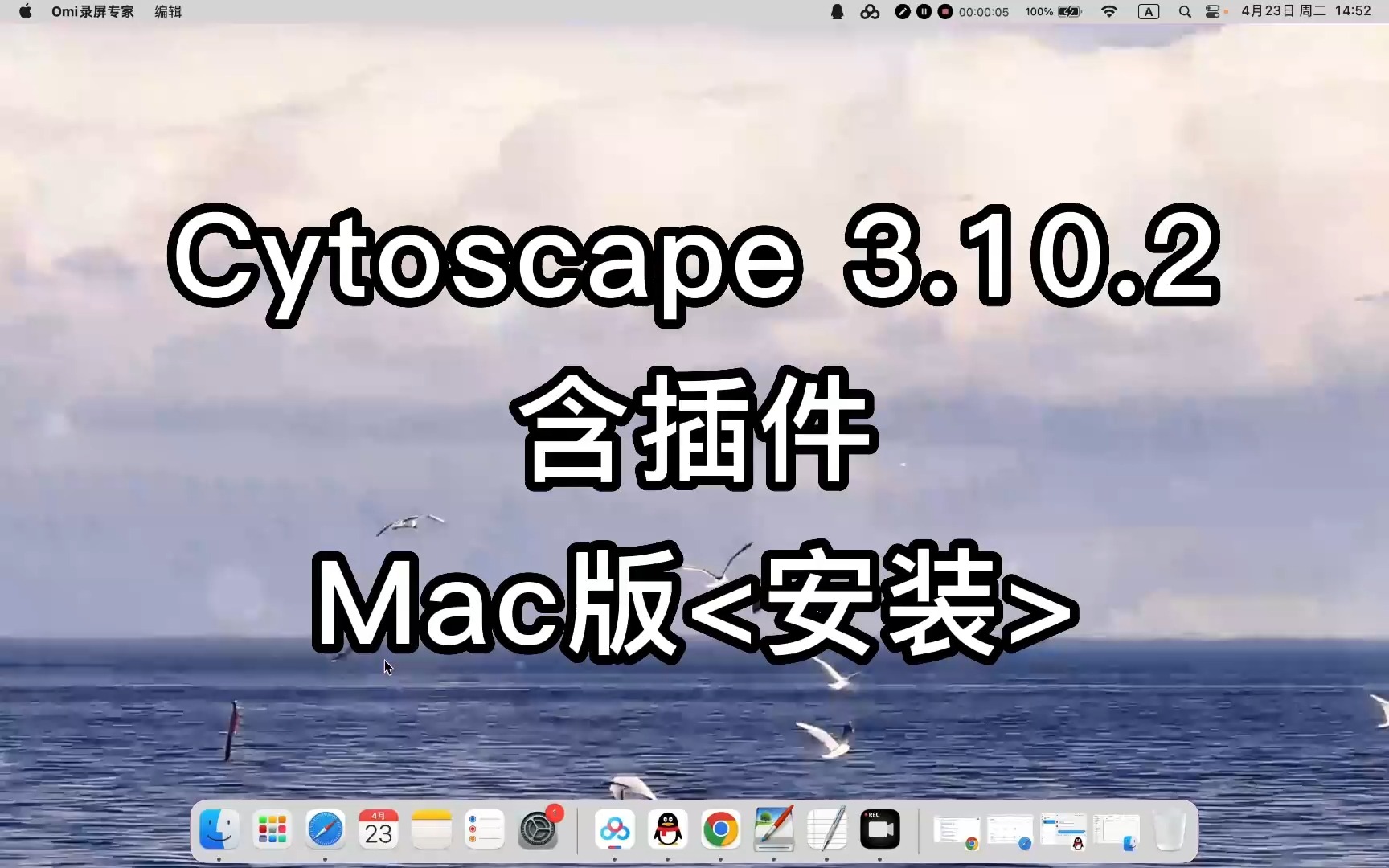 Cytoscape 3.10.2 for Mac安装与使用指南