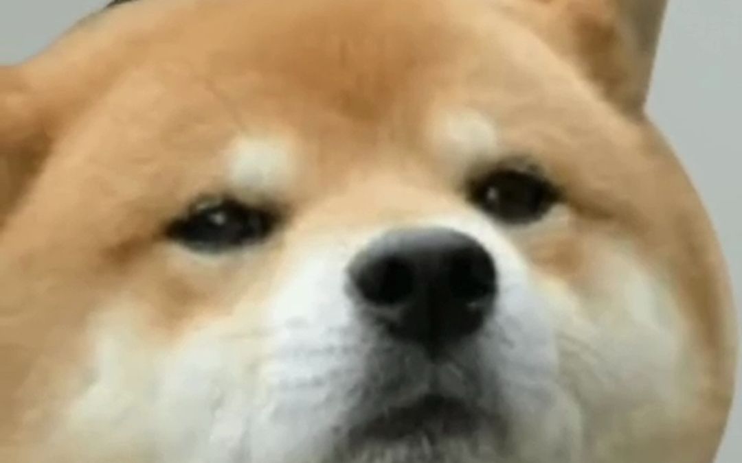 2022年5月20日四川省公务员凉山州会里乡镇岗面试真题