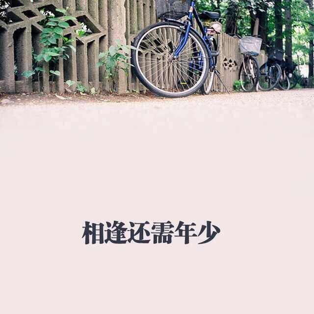 琦美素材库 