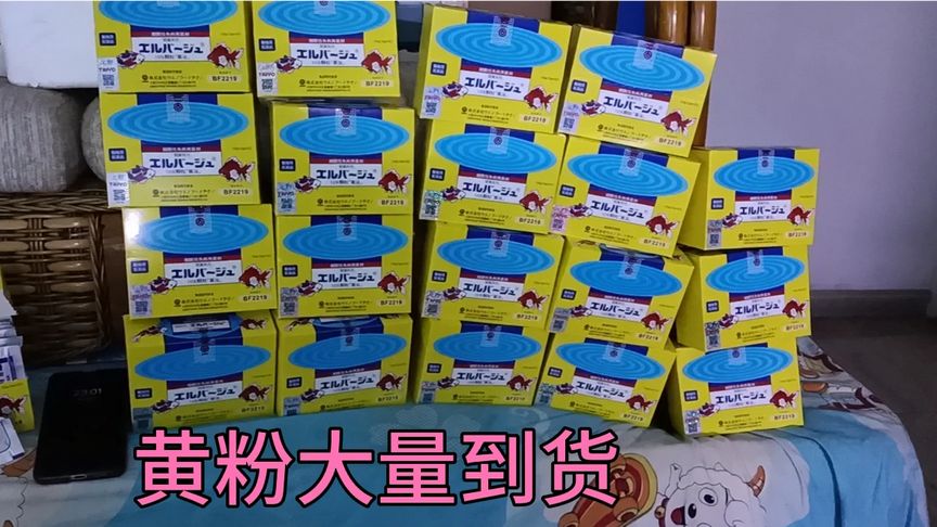 黄粉作为药浴效果极棒,对鱼的副作用很小,咱们大量有货,来吧!