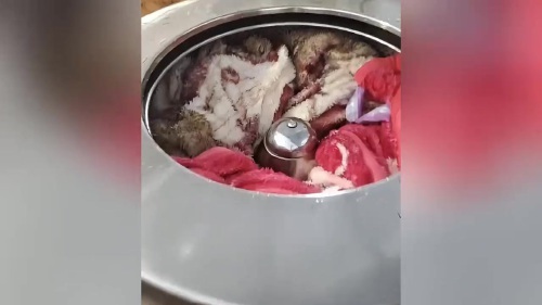 这玩意用来洗衣服太厉害了一次能洗几百斤!