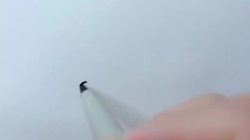 简笔画教程,画三个0的玉桂狗