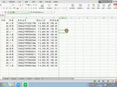 wps表格基本操作 简单计算
