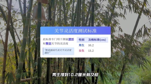 坐位体前屈小学三年级标准