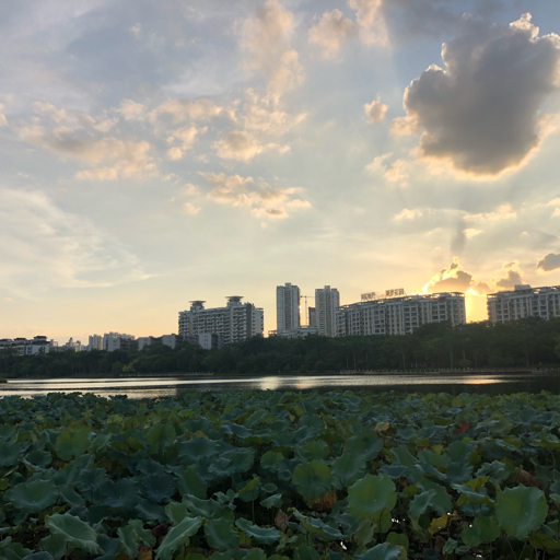 外面要下雨了诶 