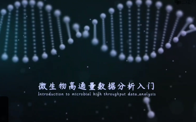 【公开课】微生物高通量数据分析入门