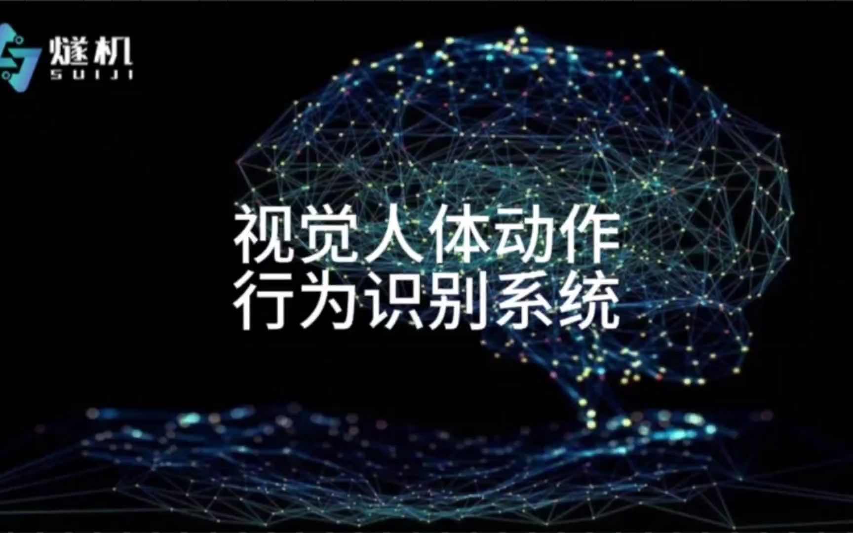 视觉人体动作行为识别系统